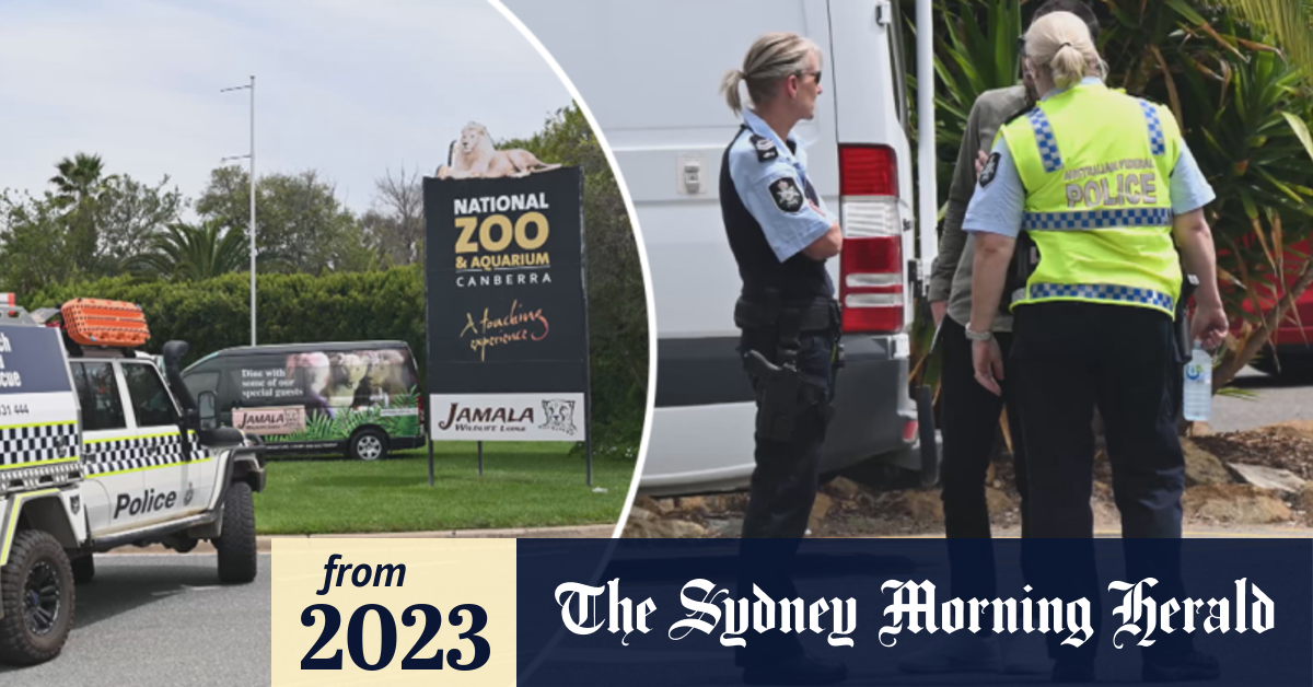 Video: Man charged with murder after woman found dead in Canberra Zoo